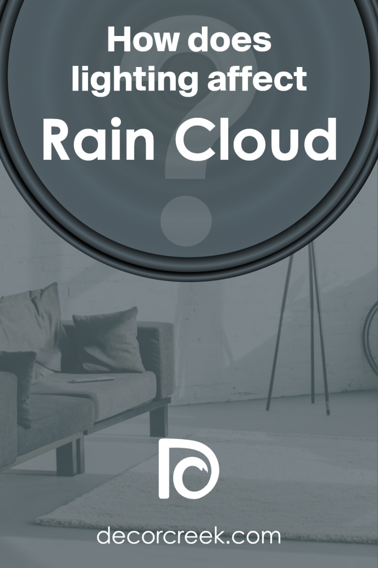 Rain Cloud SW 9639 Paint Color by Sherwin Williams - DecorCreek