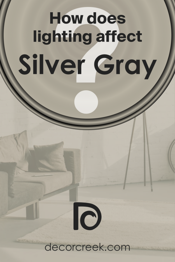 Silver Gray SW 0049 Paint Color by Sherwin Williams - DecorCreek