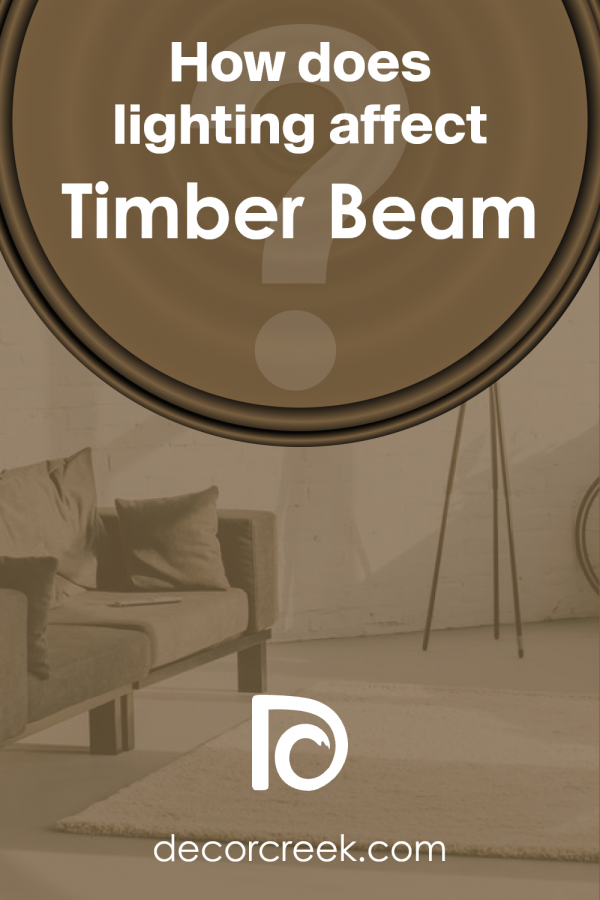Timber Beam SW 9540 Paint Color by Sherwin Williams - DecorCreek