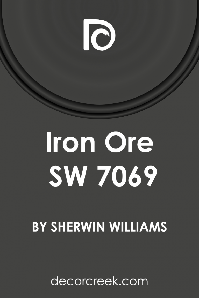 Iron Ore SW 7069 Paint Color by Sherwin Williams - DecorCreek