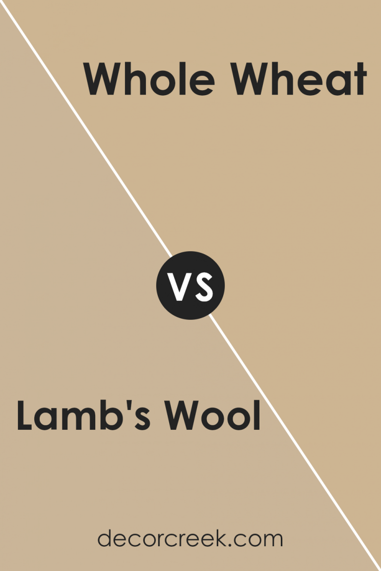 Lamb's Wool SW 9536 Paint Color by Sherwin Williams - DecorCreek