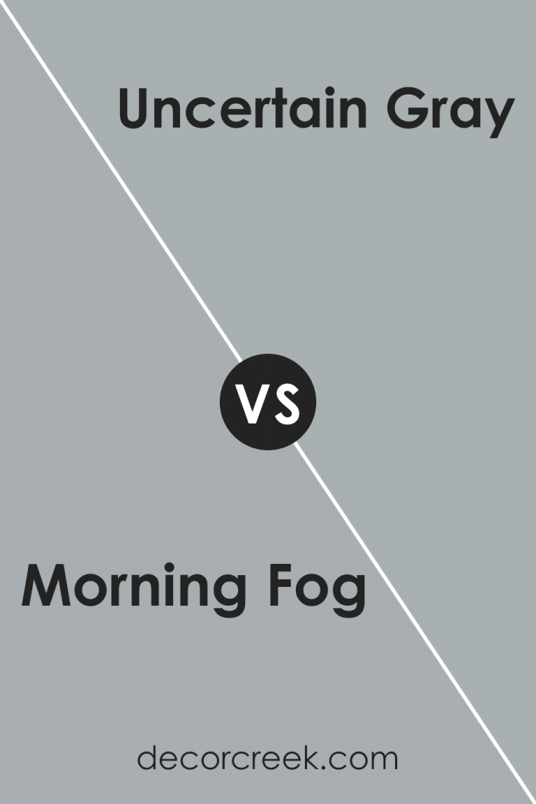 Morning Fog SW 6255 Paint Color by Sherwin Williams - DecorCreek
