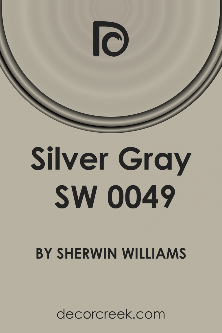 Silver Gray SW 0049 Paint Color by Sherwin Williams - DecorCreek