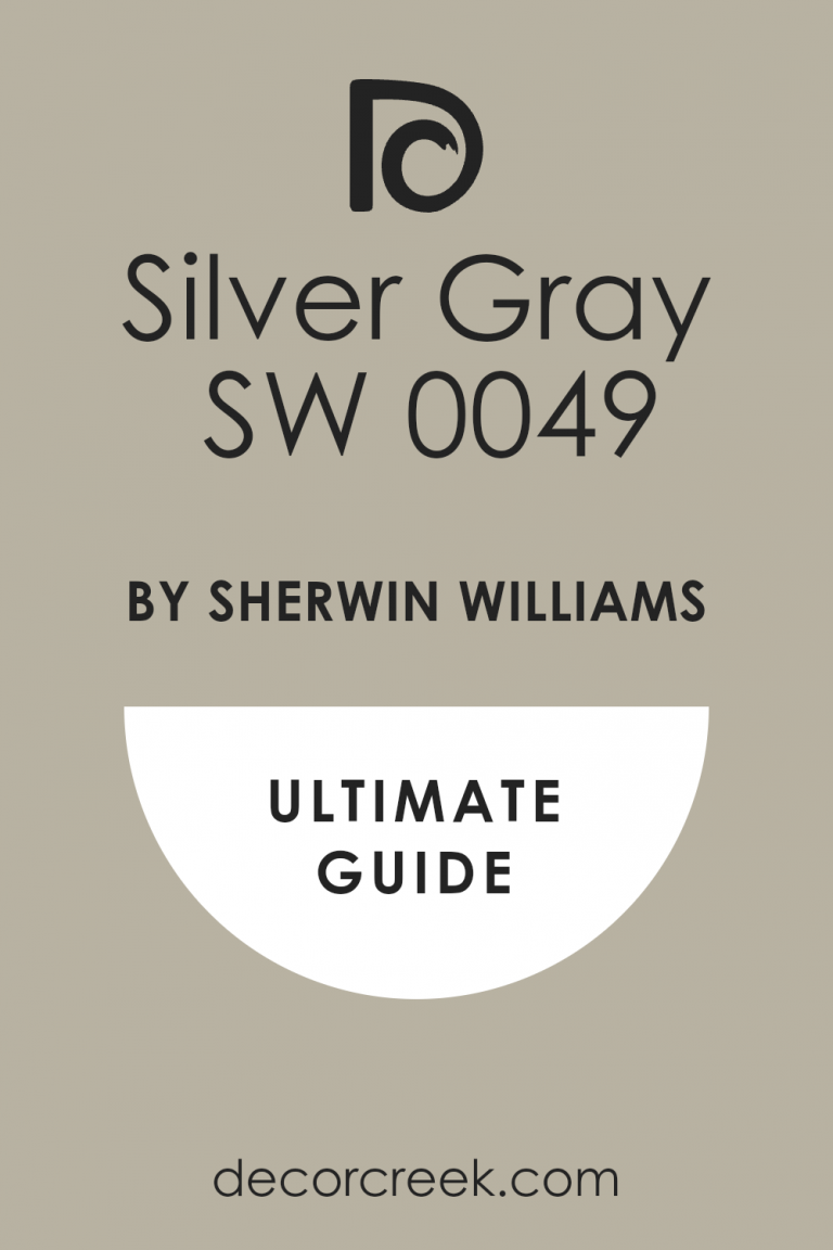 Silver Gray SW 0049 Paint Color by Sherwin Williams - DecorCreek