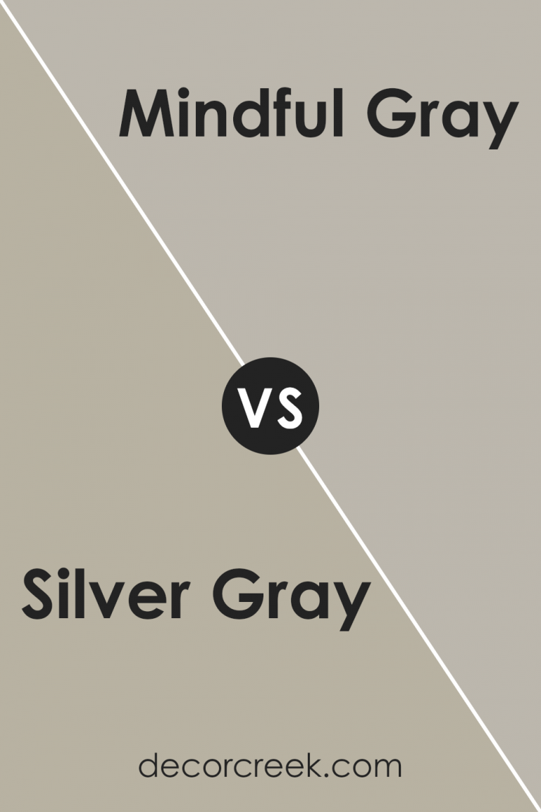 Silver Gray SW 0049 Paint Color by Sherwin Williams - DecorCreek