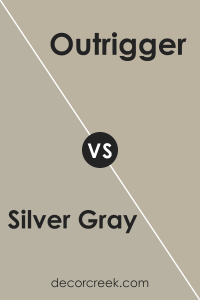 Silver Gray SW 0049 Paint Color by Sherwin Williams - DecorCreek