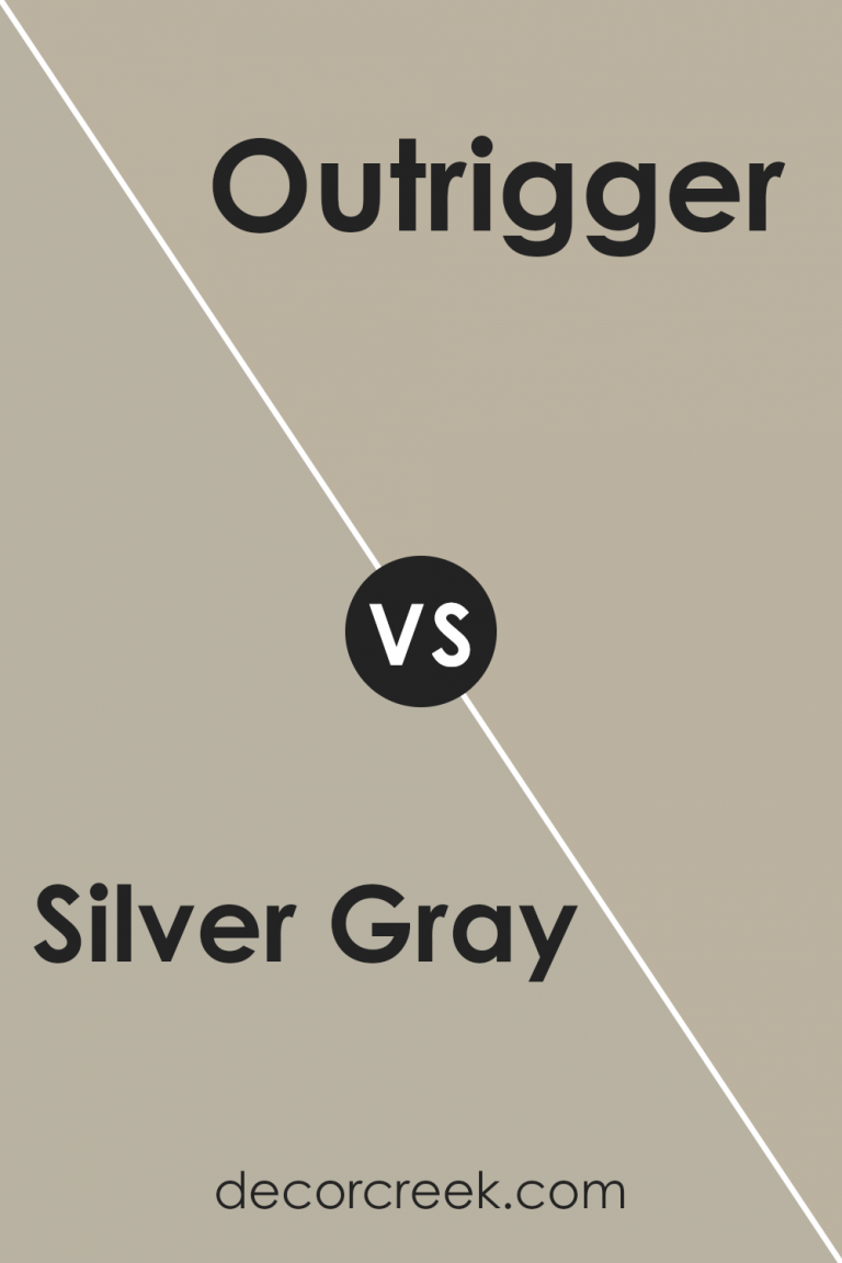 Silver Gray SW 0049 Paint Color by Sherwin Williams - DecorCreek