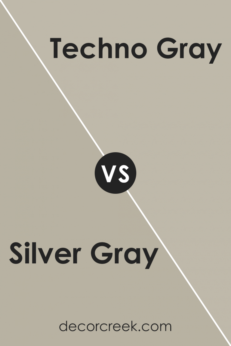 Silver Gray SW 0049 Paint Color by Sherwin Williams - DecorCreek