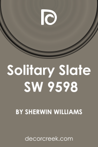 Solitary Slate SW 9598 Paint Color by Sherwin Williams - DecorCreek