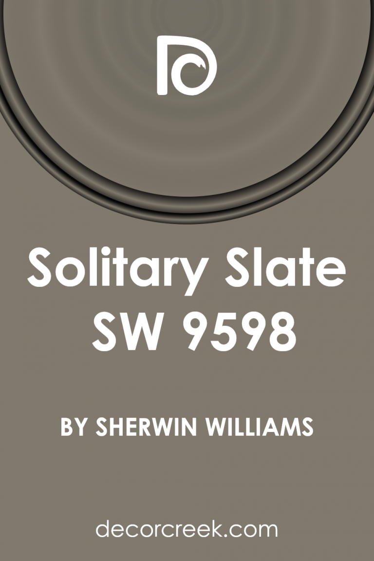 Solitary Slate SW 9598 Paint Color by Sherwin Williams - DecorCreek