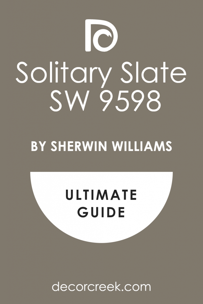 Solitary Slate SW 9598 Paint Color by Sherwin Williams - DecorCreek