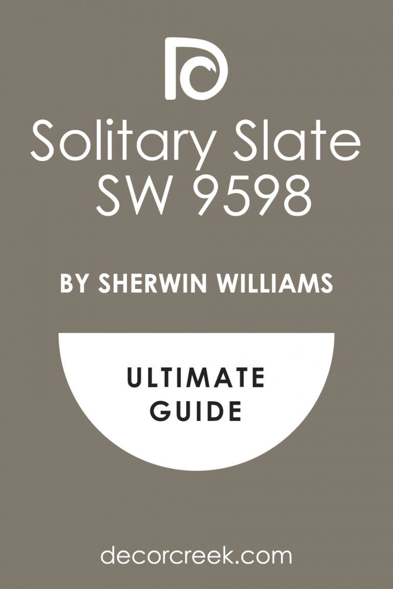 Solitary Slate SW 9598 Paint Color by Sherwin Williams - DecorCreek