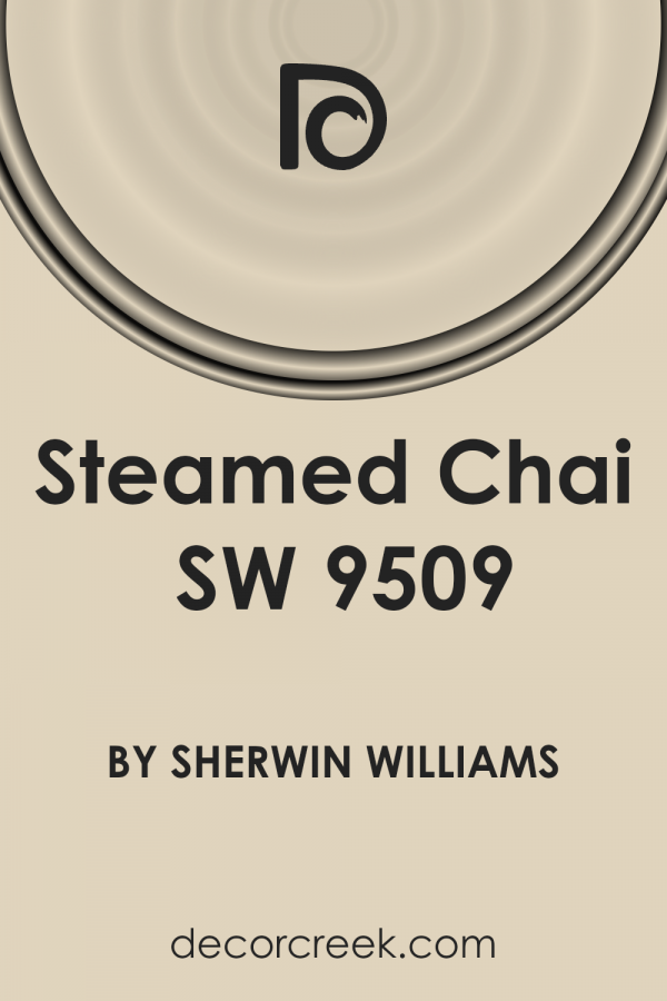 Steamed Chai SW 9509 Paint Color by Sherwin Williams - DecorCreek