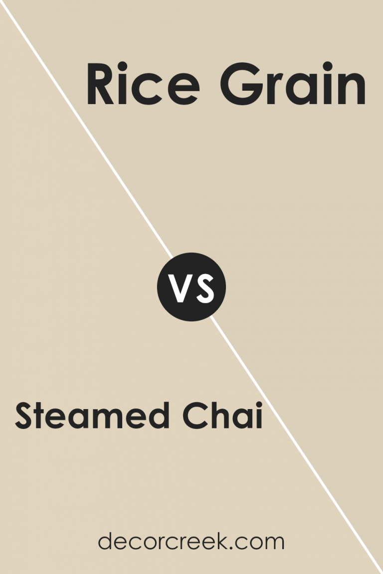 Steamed Chai SW 9509 Paint Color by Sherwin Williams - DecorCreek