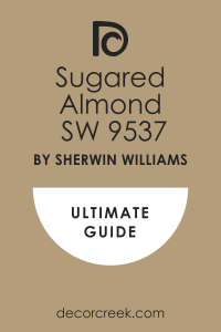 Sugared Almond SW 9537 Paint Color by Sherwin Williams - DecorCreek