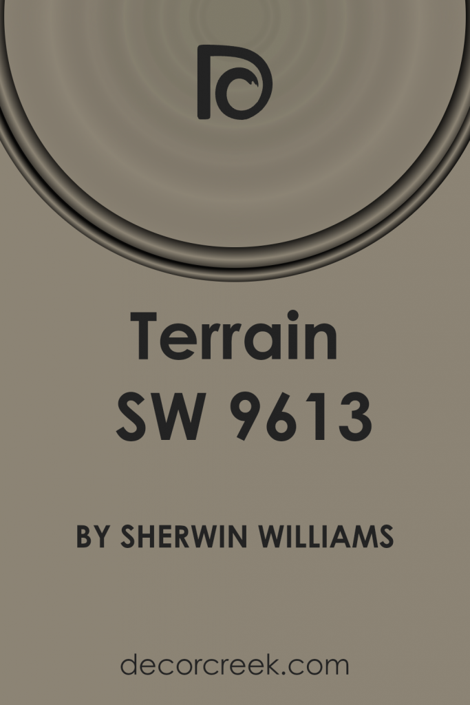 Terrain SW 9613 Paint Color by Sherwin Williams - DecorCreek