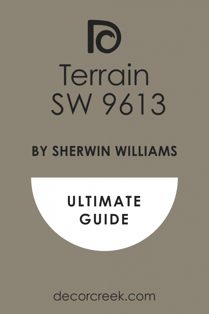 Terrain SW 9613 Paint Color by Sherwin Williams - DecorCreek