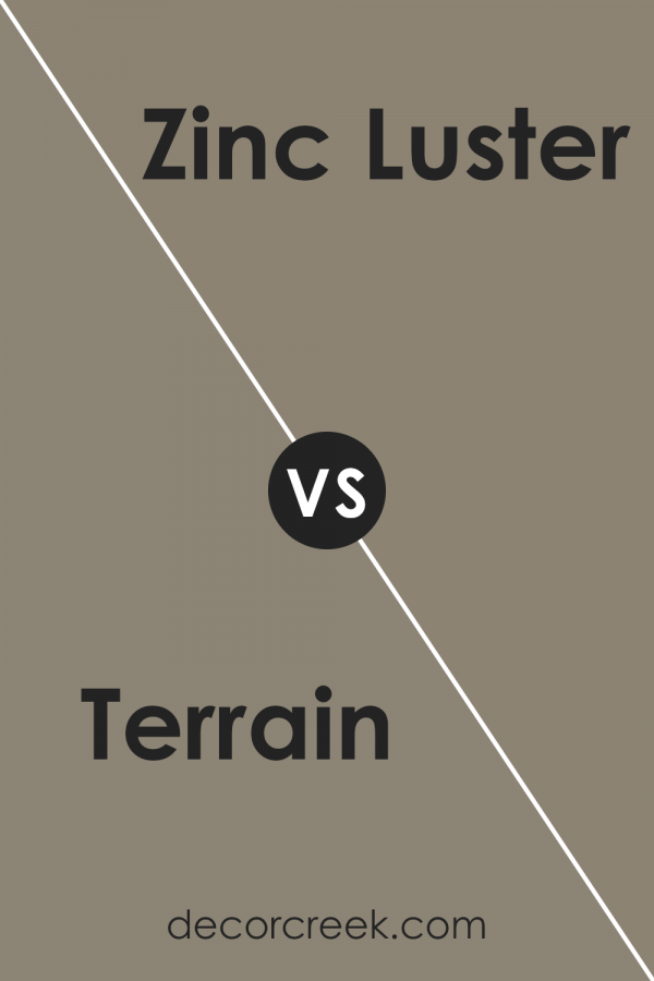 Terrain SW 9613 Paint Color by Sherwin Williams - DecorCreek