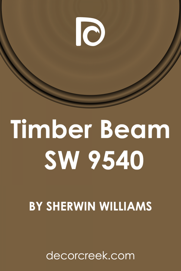 Timber Beam SW 9540 Paint Color by Sherwin Williams - DecorCreek