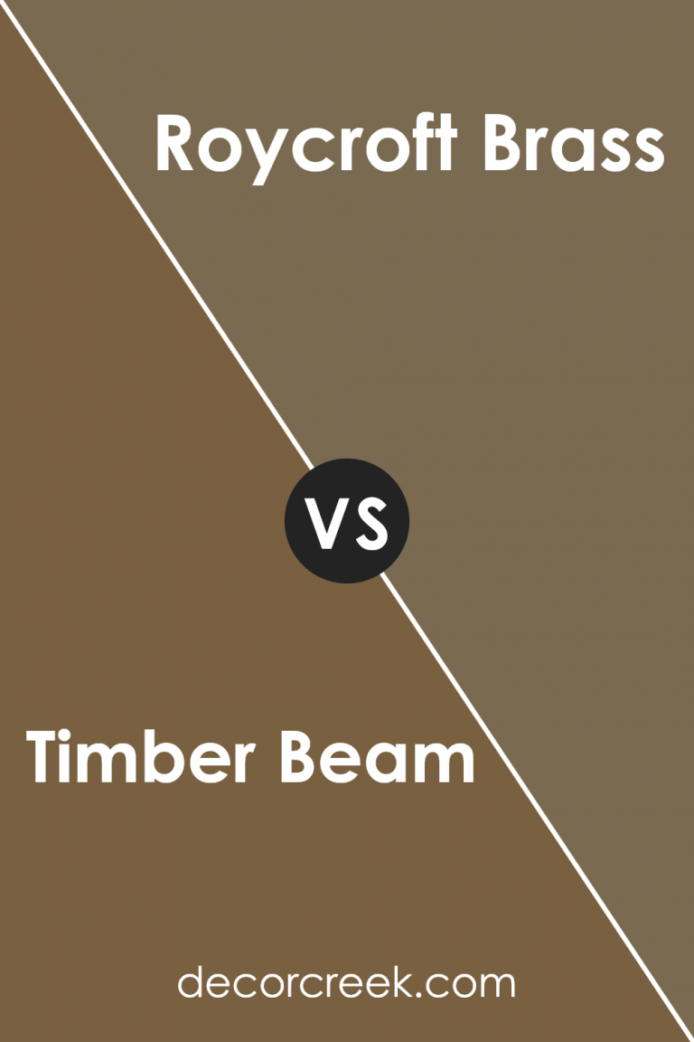 Timber Beam SW 9540 Paint Color by Sherwin Williams - DecorCreek