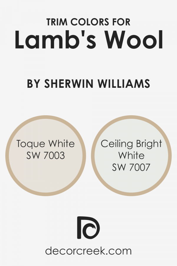 Lamb's Wool SW 9536 Paint Color by Sherwin Williams - DecorCreek