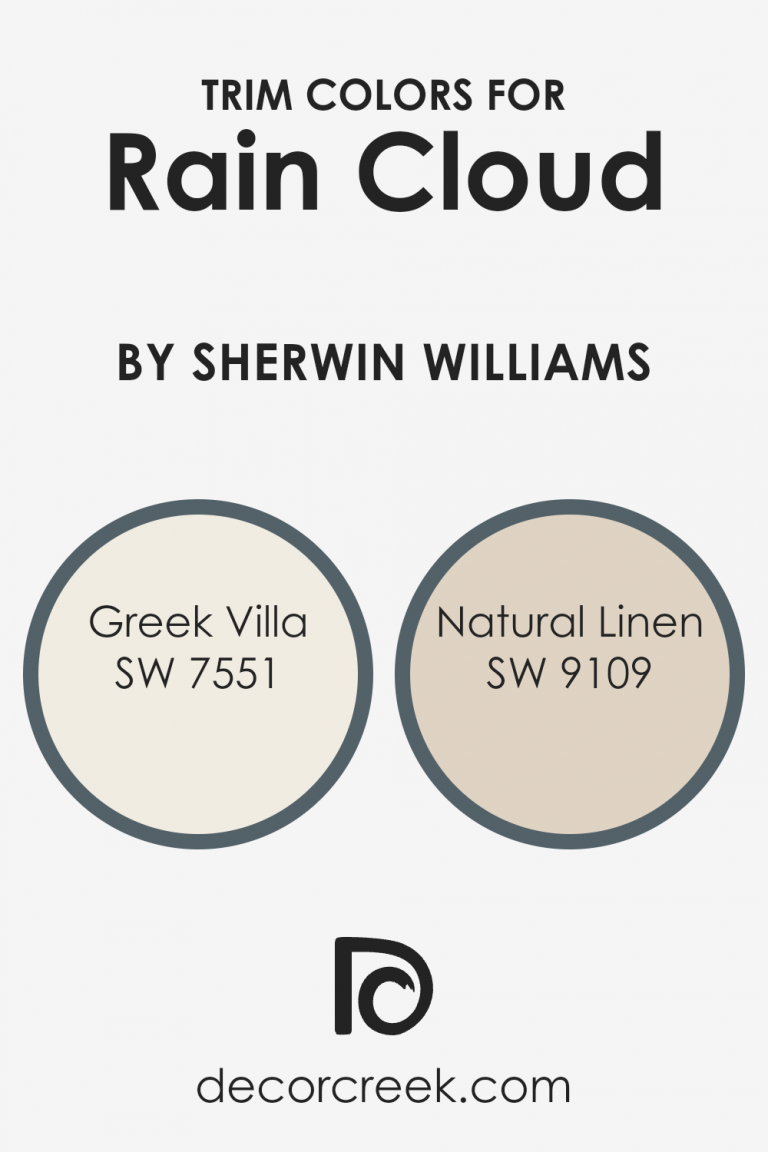 Rain Cloud SW 9639 Paint Color by Sherwin Williams - DecorCreek
