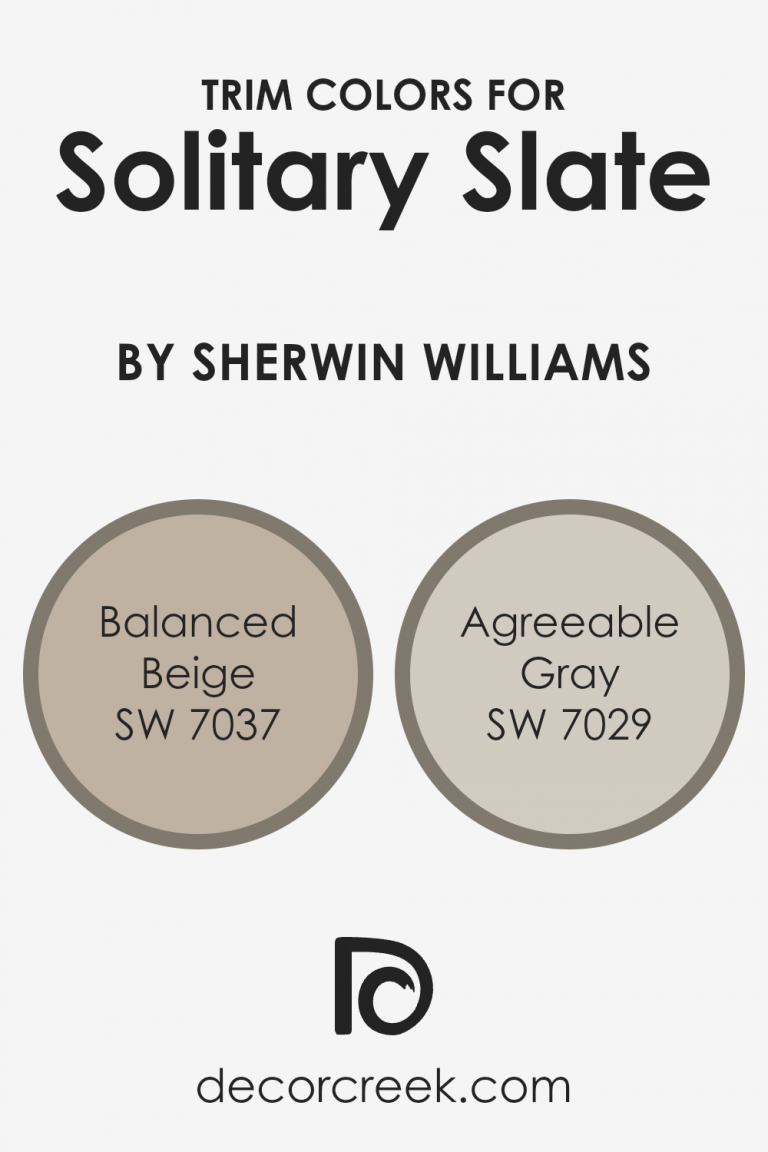 Solitary Slate SW 9598 Paint Color by Sherwin Williams - DecorCreek
