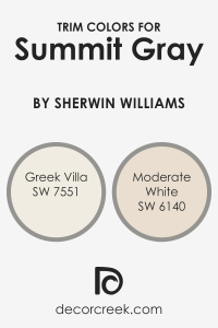 Summit Gray SW 7669 Paint Color by Sherwin Williams - DecorCreek