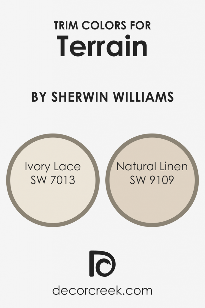 Terrain SW 9613 Paint Color by Sherwin Williams - DecorCreek