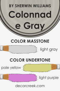 Colonnade Gray SW 7641 Paint Color by Sherwin Williams - DecorCreek