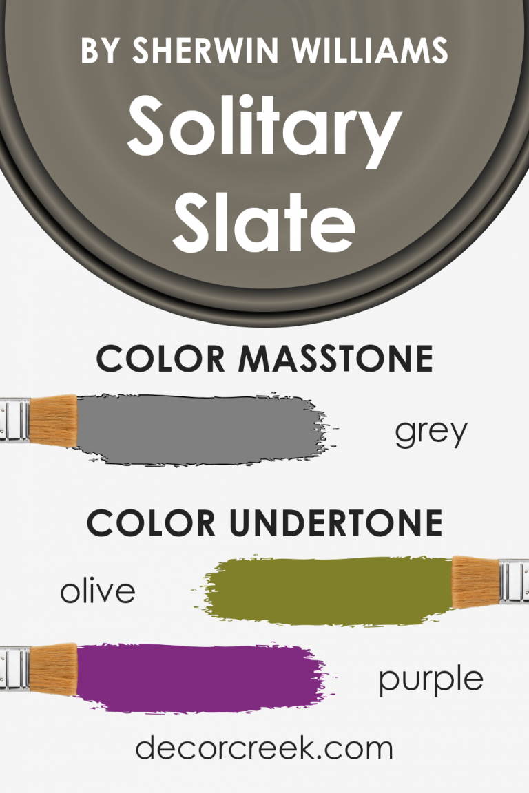Solitary Slate SW 9598 Paint Color by Sherwin Williams - DecorCreek