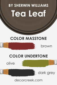 Tea Leaf SW 9604 Paint Color by Sherwin Williams - DecorCreek