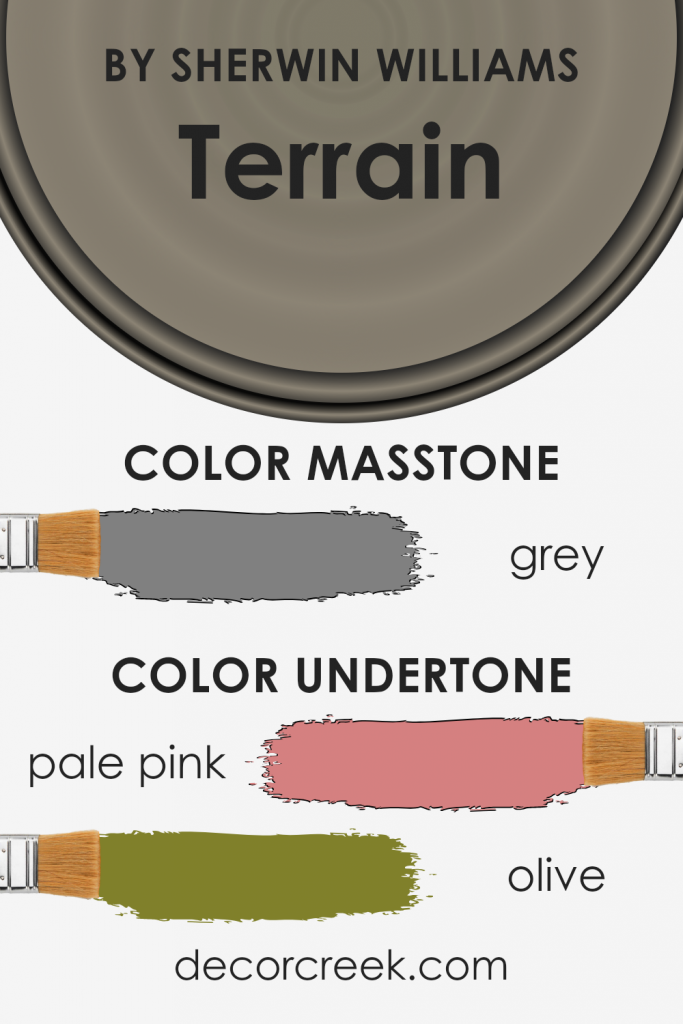 Terrain SW 9613 Paint Color by Sherwin Williams - DecorCreek