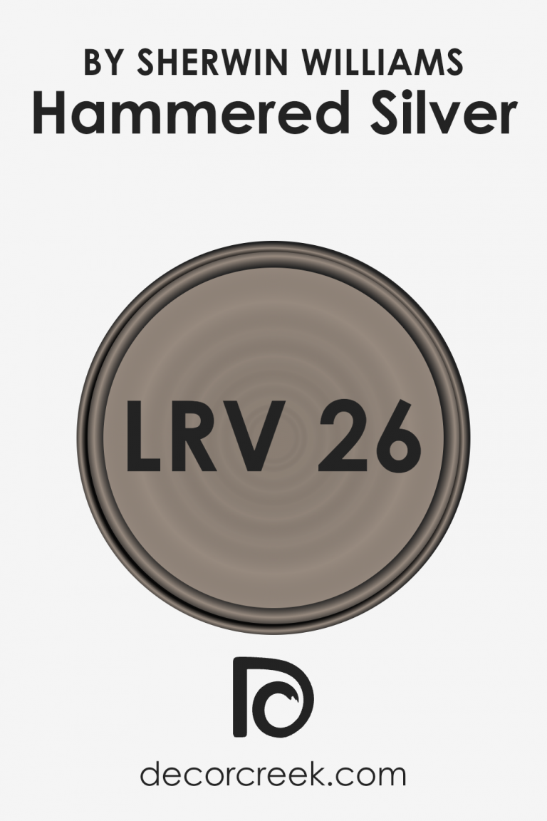 Hammered Silver SW 2840 Paint Color by Sherwin Williams - DecorCreek