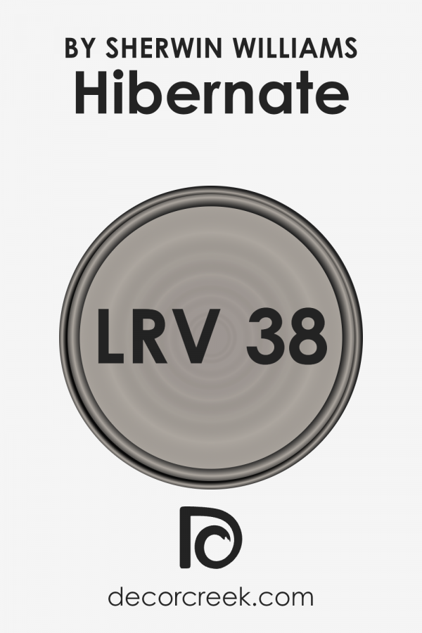 Hibernate SW 9573 Paint Color by Sherwin Williams - DecorCreek