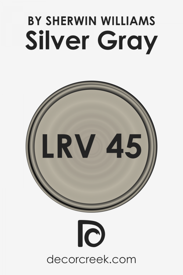 Silver Gray SW 0049 Paint Color by Sherwin Williams - DecorCreek