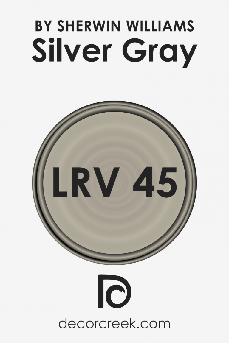 Silver Gray SW 0049 Paint Color by Sherwin Williams - DecorCreek