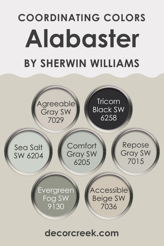 Alabaster SW 7008 Paint Color by Sherwin Williams - DecorCreek