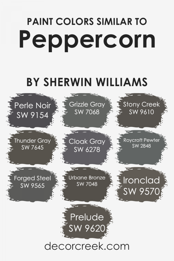 Peppercorn SW 7674 Paint Color by Sherwin Williams - DecorCreek