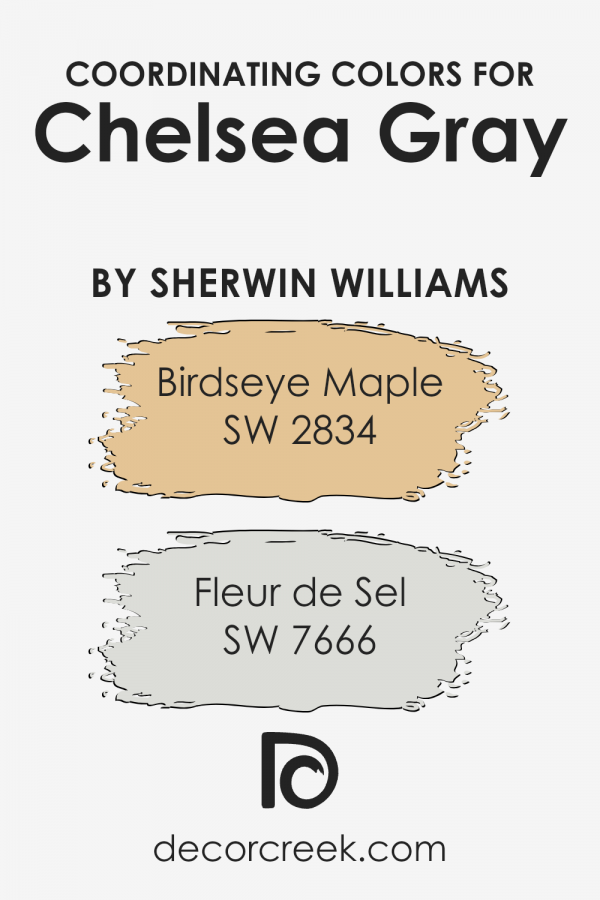 Chelsea Gray SW 2850 Paint Color by Sherwin Williams - DecorCreek