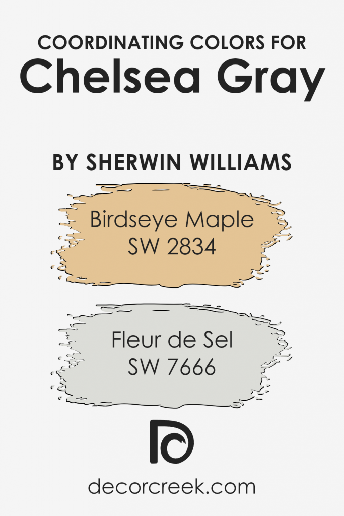 Chelsea Gray SW 2850 Paint Color by Sherwin Williams - DecorCreek
