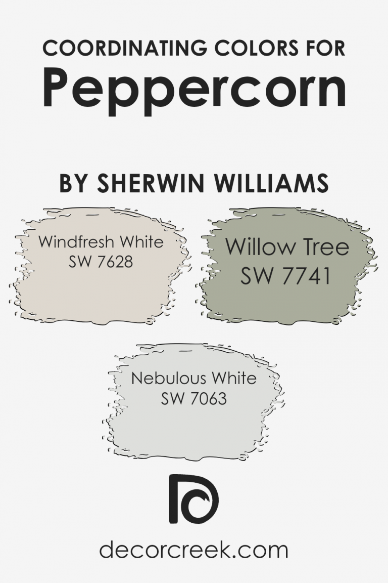Peppercorn SW 7674 Paint Color by Sherwin Williams - DecorCreek