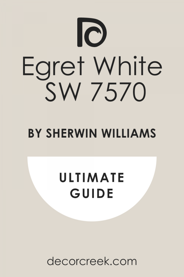 Egret White SW 7570 Paint Color by Sherwin Williams - DecorCreek