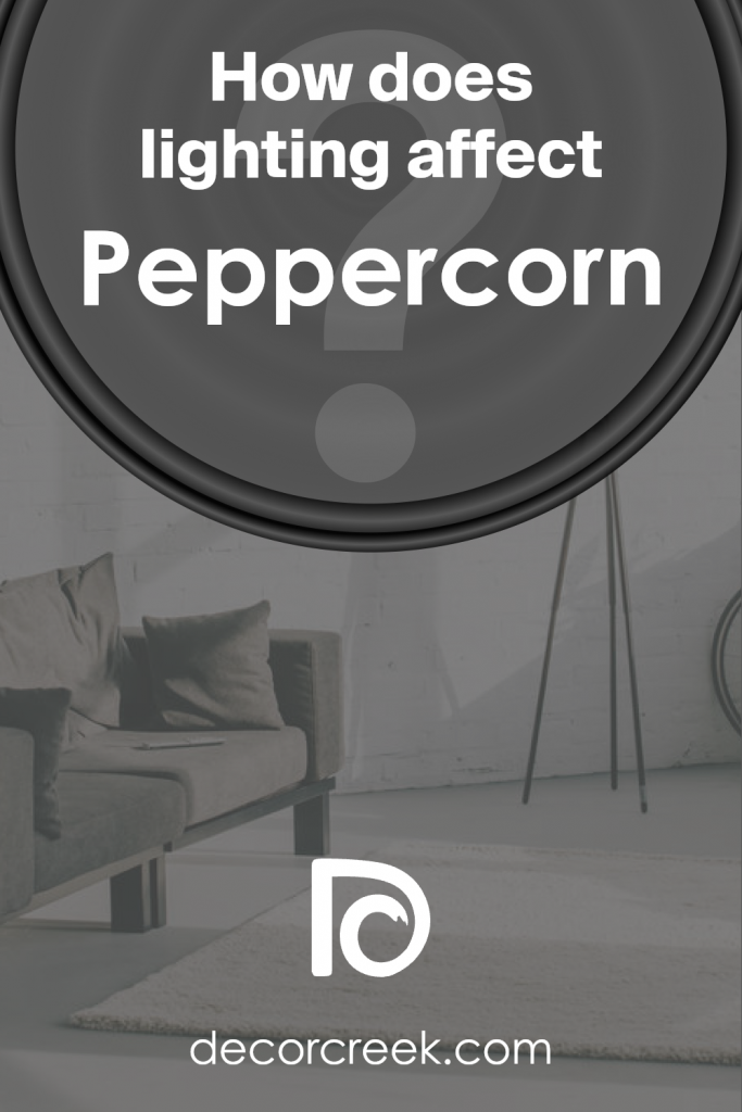 Peppercorn SW 7674 Paint Color by Sherwin Williams - DecorCreek
