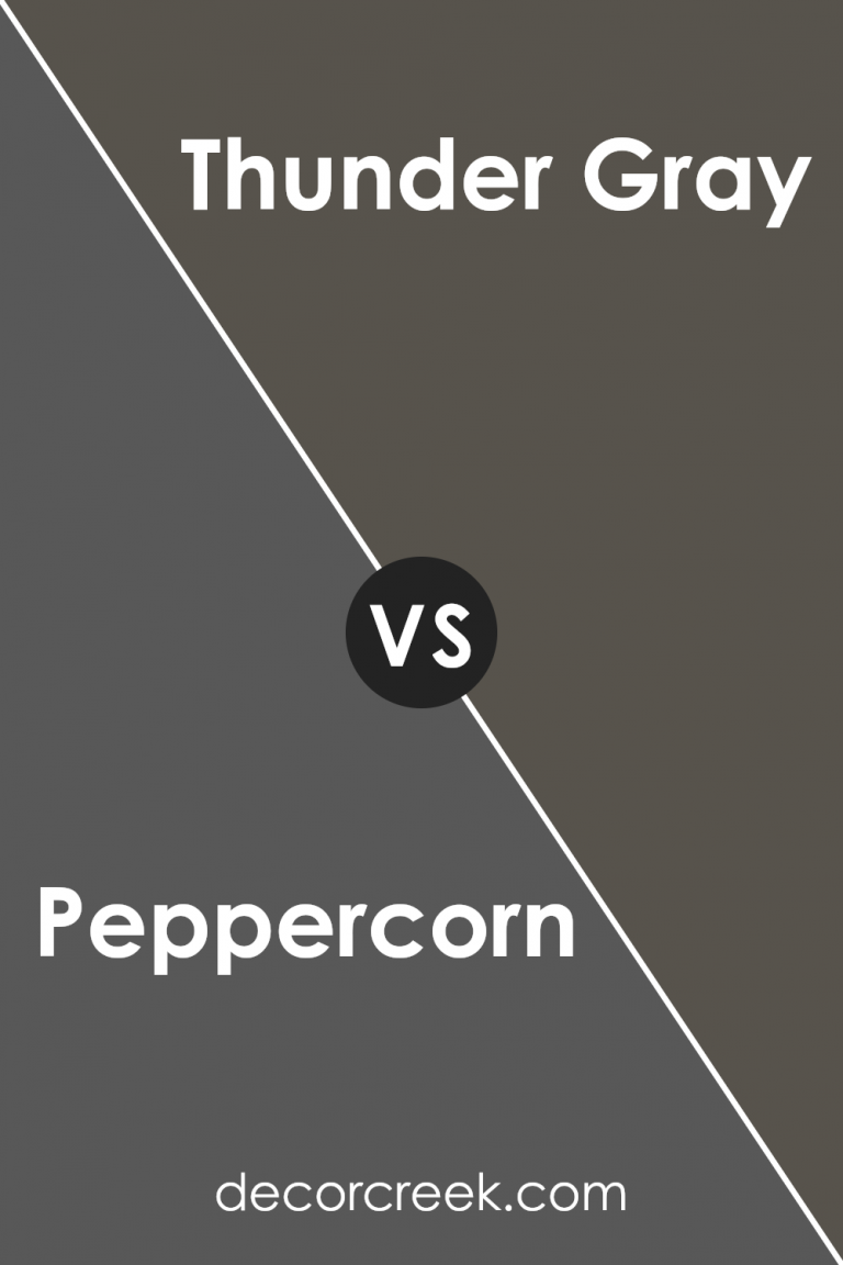Peppercorn SW 7674 Paint Color by Sherwin Williams - DecorCreek