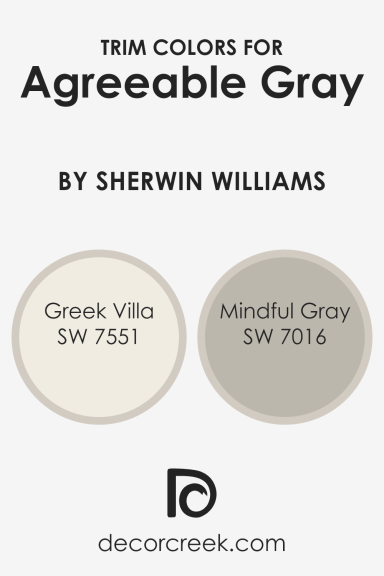 Agreeable Gray SW 7029 Paint Color by Sherwin Williams - DecorCreek