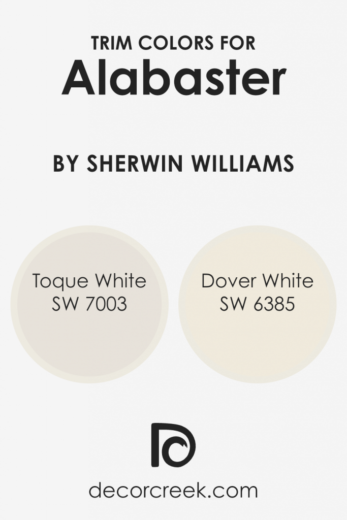 Alabaster SW 7008 Paint Color by Sherwin Williams - DecorCreek