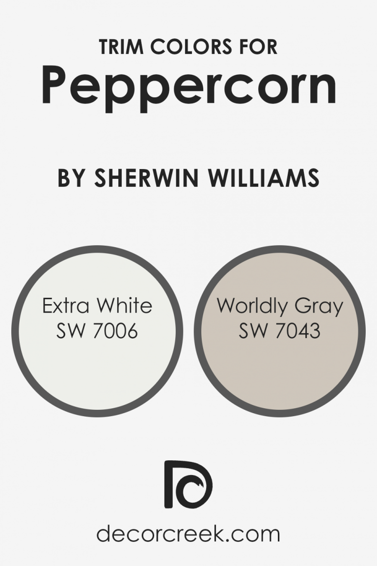 Peppercorn SW 7674 Paint Color by Sherwin Williams - DecorCreek