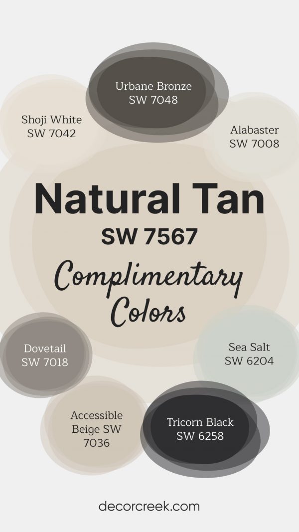 Natural Tan SW 7567 Paint Color by Sherwin Williams - DecorCreek