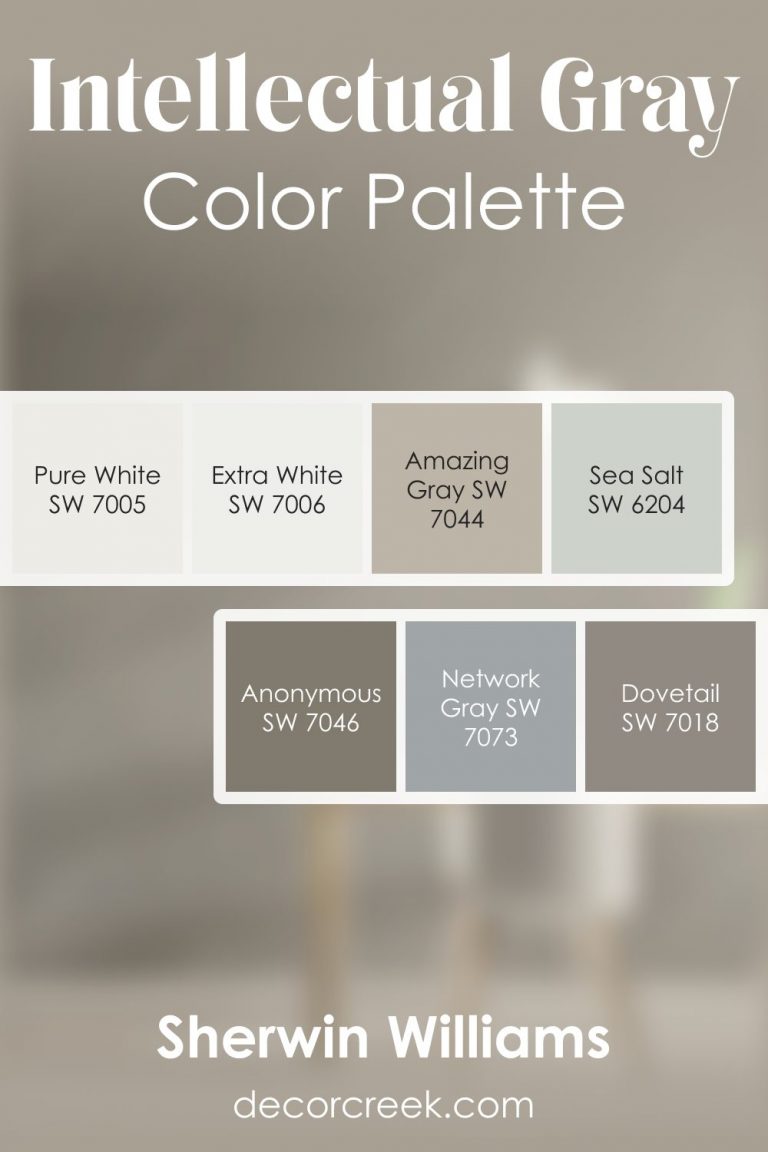 Intellectual Gray SW 7045 Paint Color by Sherwin Williams - DecorCreek